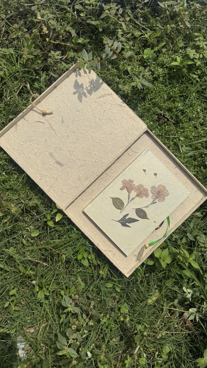 Galeri - Cemara Paper